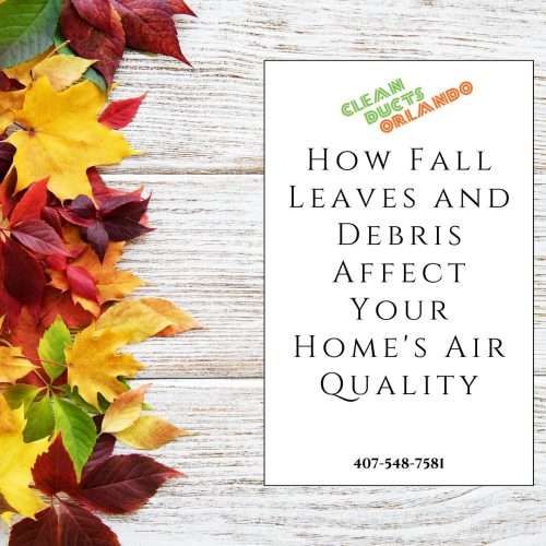 How Fall Leaves and Debris Affect Your Home's Air Quality | Air Duct ...