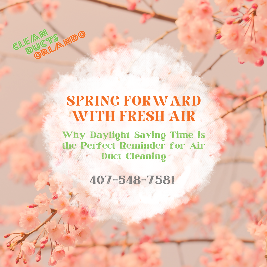 Spring Forward with Fresh Air: Why Daylight Saving Time is the Perfect ...